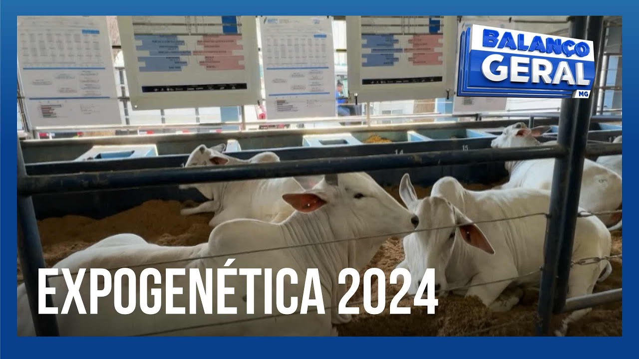 EXPOGENÉTICA 2024: Confira A Programação Da Feira Que Terá Duração Até ...