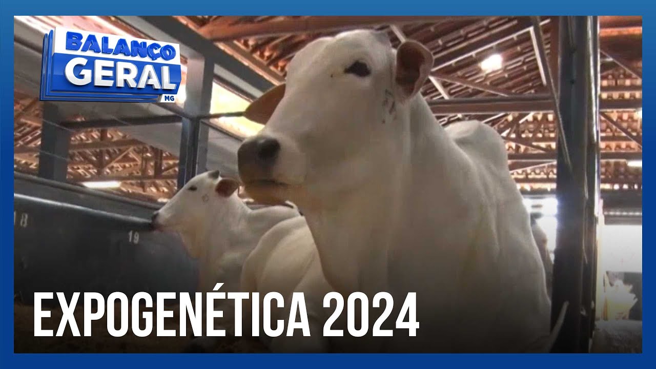 EXPOGENÉTICA 2024: confira a programação do sexto dia de exposição em ...