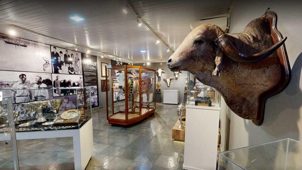 Pontos turísticos no Triângulo Mineiro para suas férias