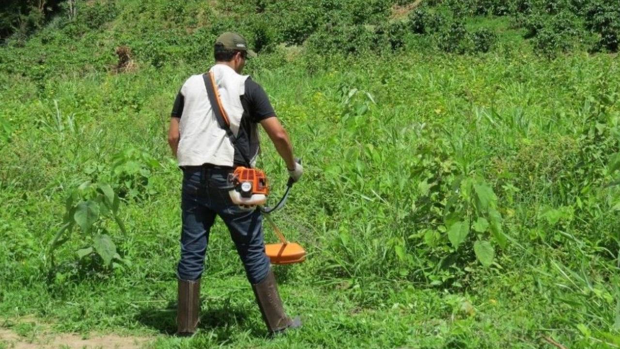 Sistema Faemg Senar Retoma Atividades Com Meta De 1.800 Capacitações No ...