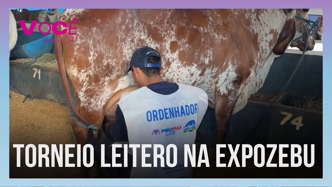 Torneio Leiteiro: Depois de quatro dias de ordenhas foi definida a ...