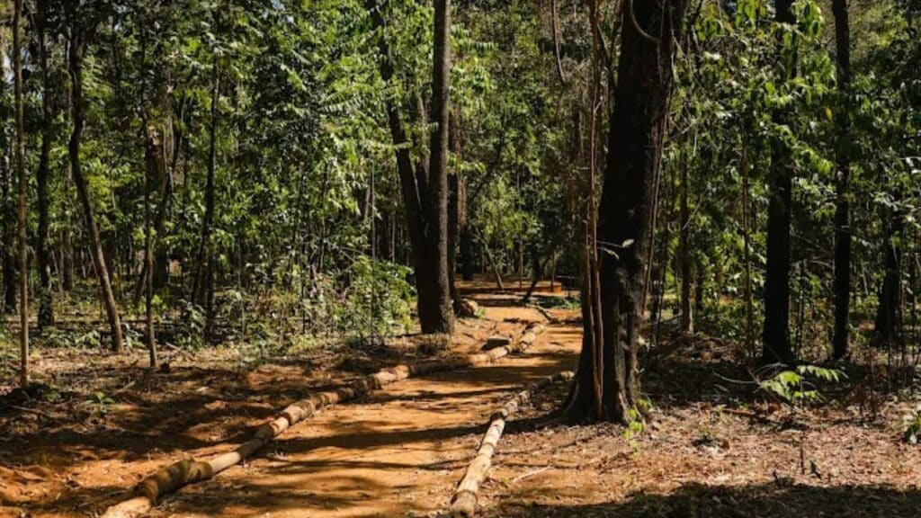 Parque do Granja Marileusa é inaugurado no domingo
