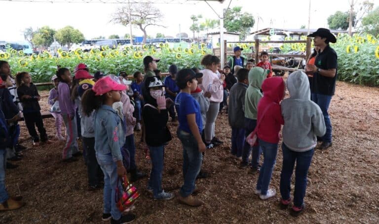 Fazendinha Camaru espera receber 15 mil visitantes este ano