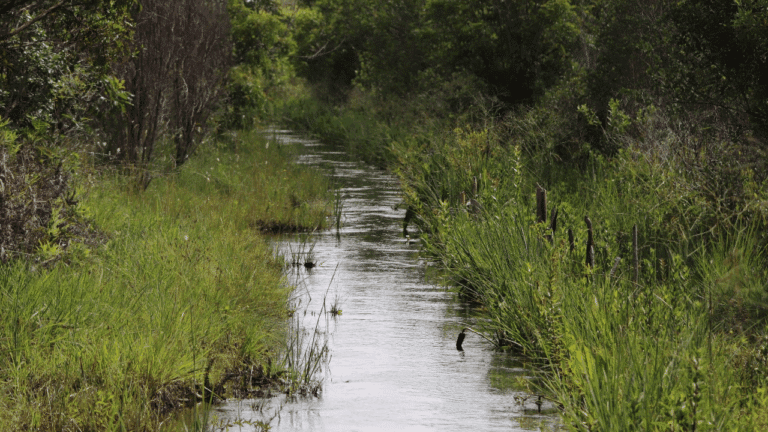 Pontos turísticos no Triângulo Mineiro para suas férias